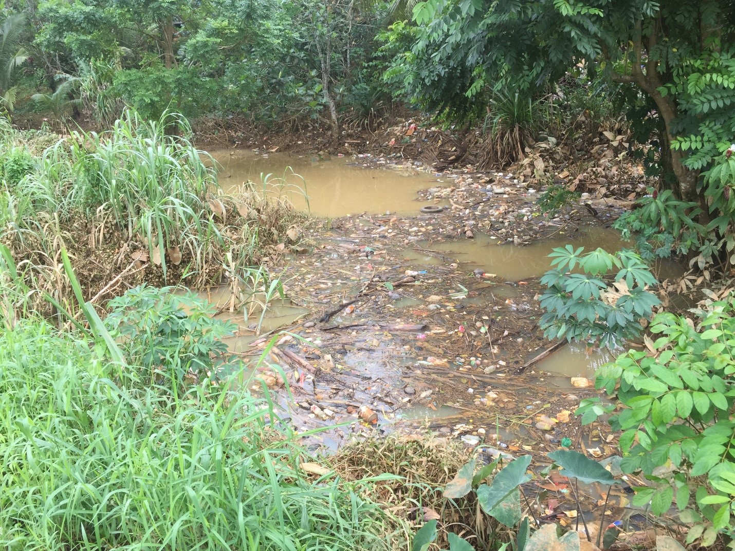 DO NOT DUMP HOUSEHOLD WASTE ON ROAD RESERVES - Fiji Roads Authority